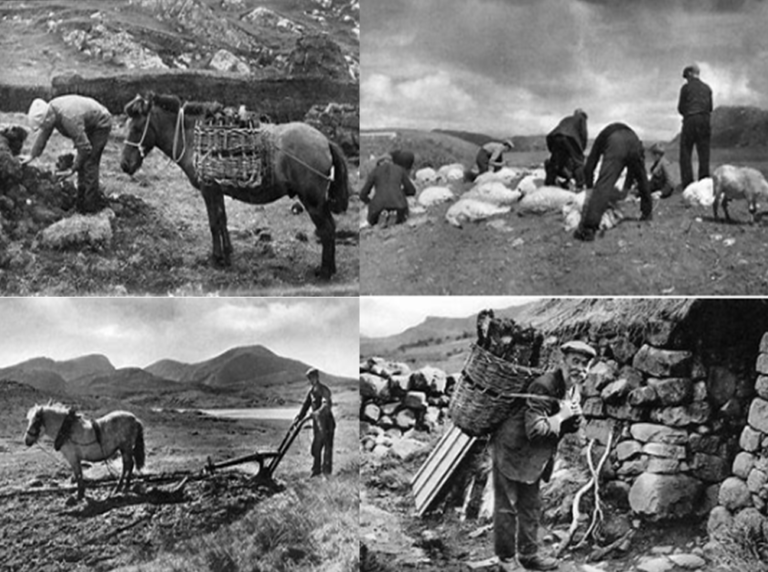 Illicit Stills – Ice & Fire